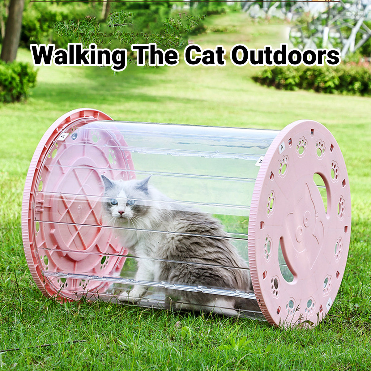 Portable Outdoor Cat Training Roller Interactive Toy | Aimall